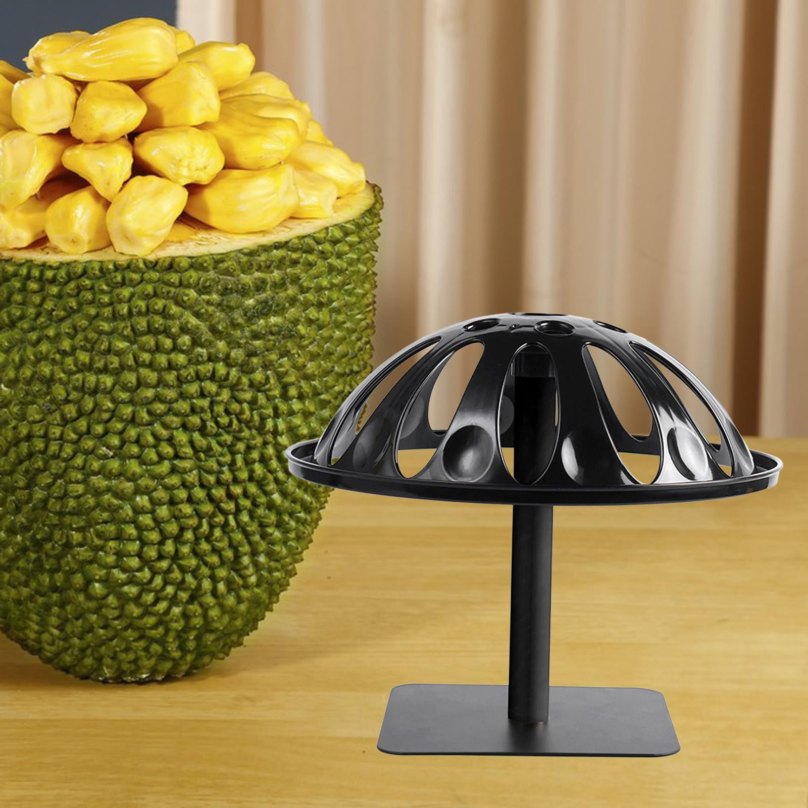 CUTICATE Jackfruit Display Stand ,Organizer ,Storing Organizing Rack ...