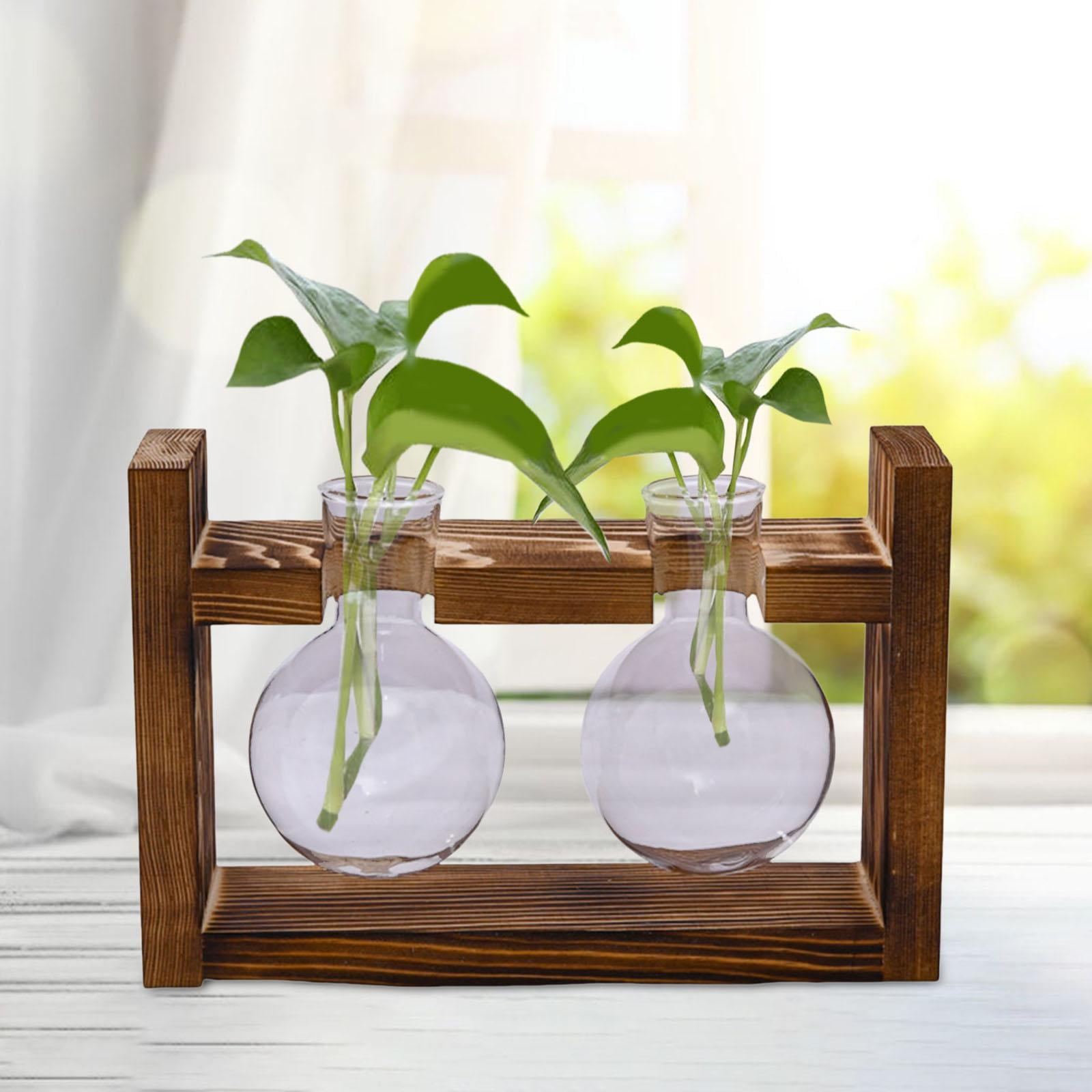 CUTICATE Terrarium Glass Planter with Wooden Stand, Light Bulb Shape ...