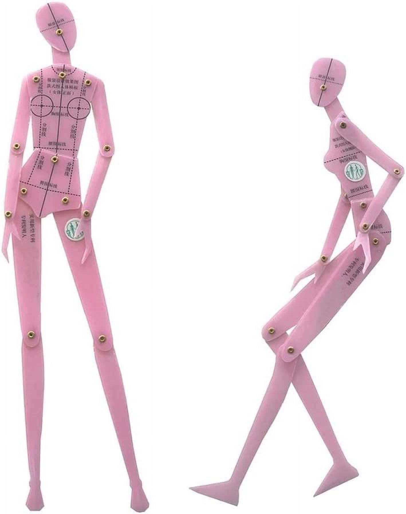 CUTOOP 2Pcs PVC Human Body Dynamic Fashion Template Modeling Rotating ...