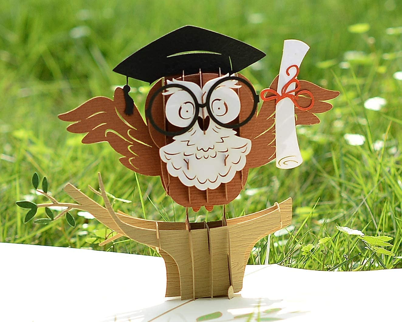 CUTPOPUP Graduation Card Pop Up, 3D High School Greeting Card (Owl) C2 ...