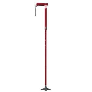 CVS Health by Michael Graves Design Health Take Along Folding Cane by ...