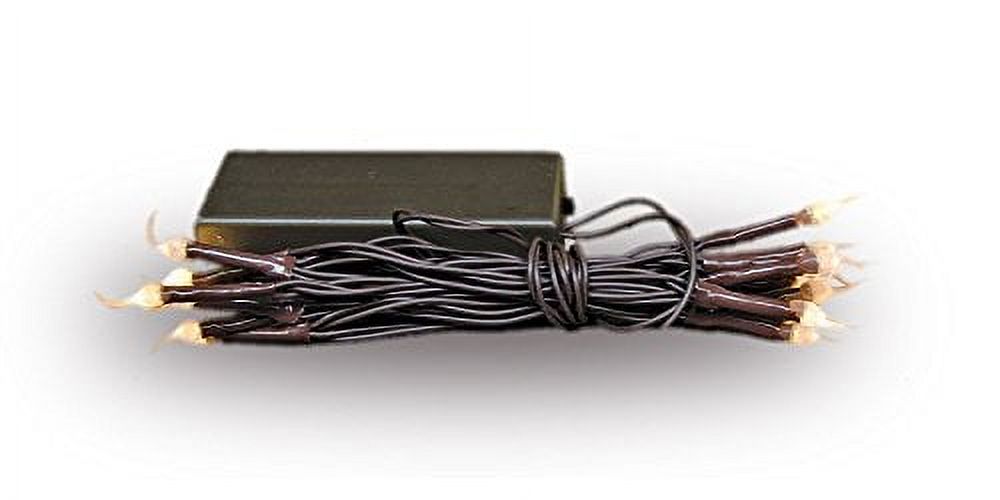 CWI Gifts 20 Count Battery Mini Lights on a Brown Wire 20ct, Multi ...