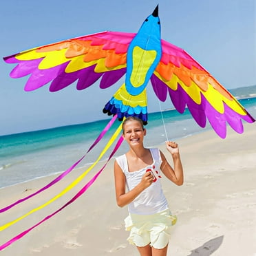 Mint's Colorful Life Butterfly Kite for Kids & Adults, Easy to Fly ...