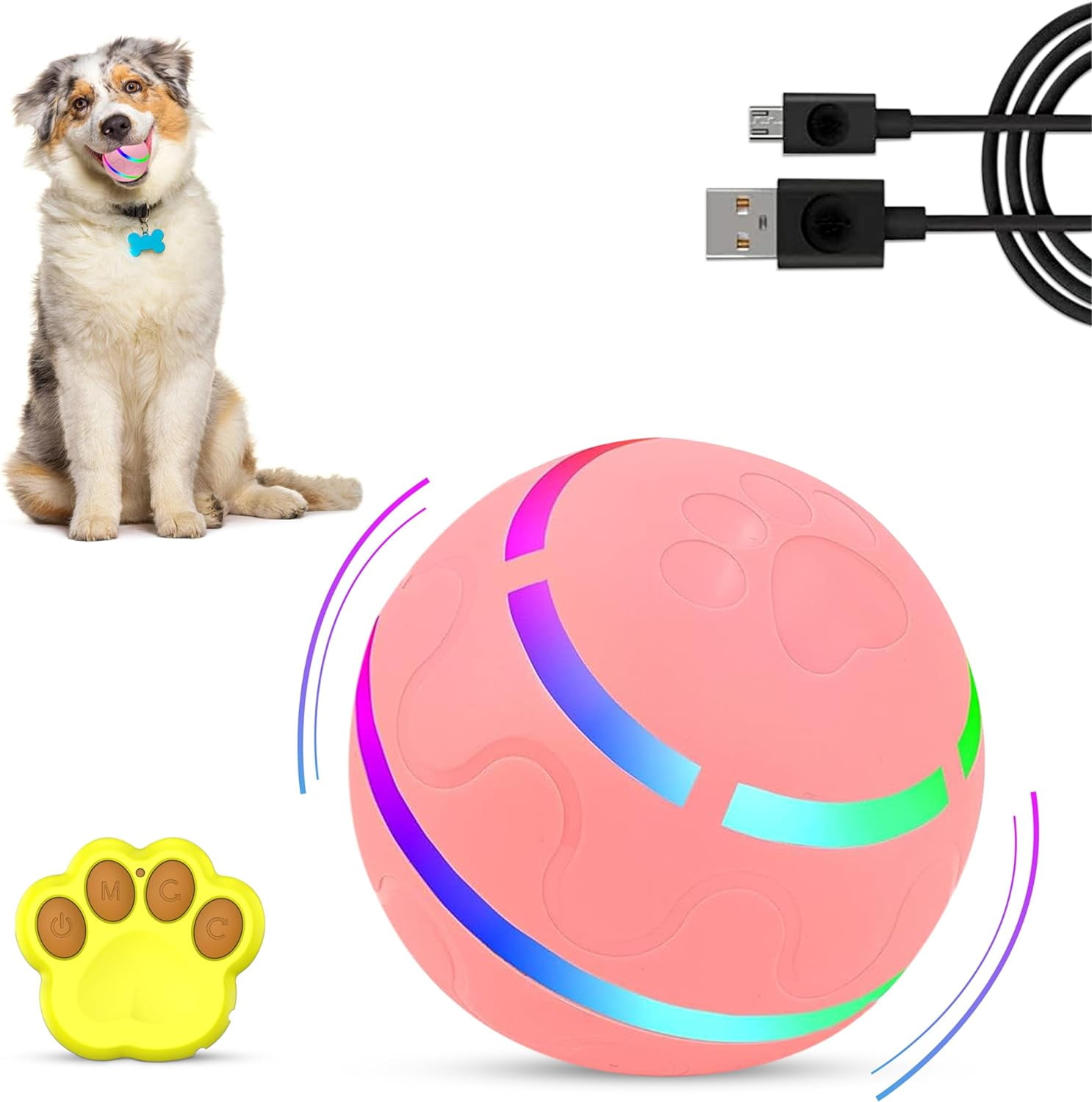 CY New Interactive Dog Toy With Remote Control and LED Flash Light ...