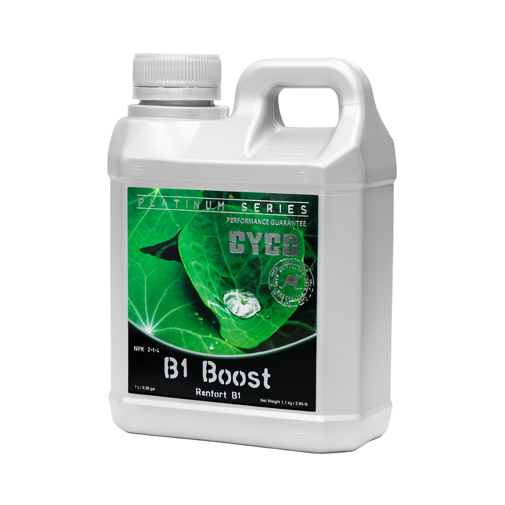 CYCO B1 Boost - Walmart.com