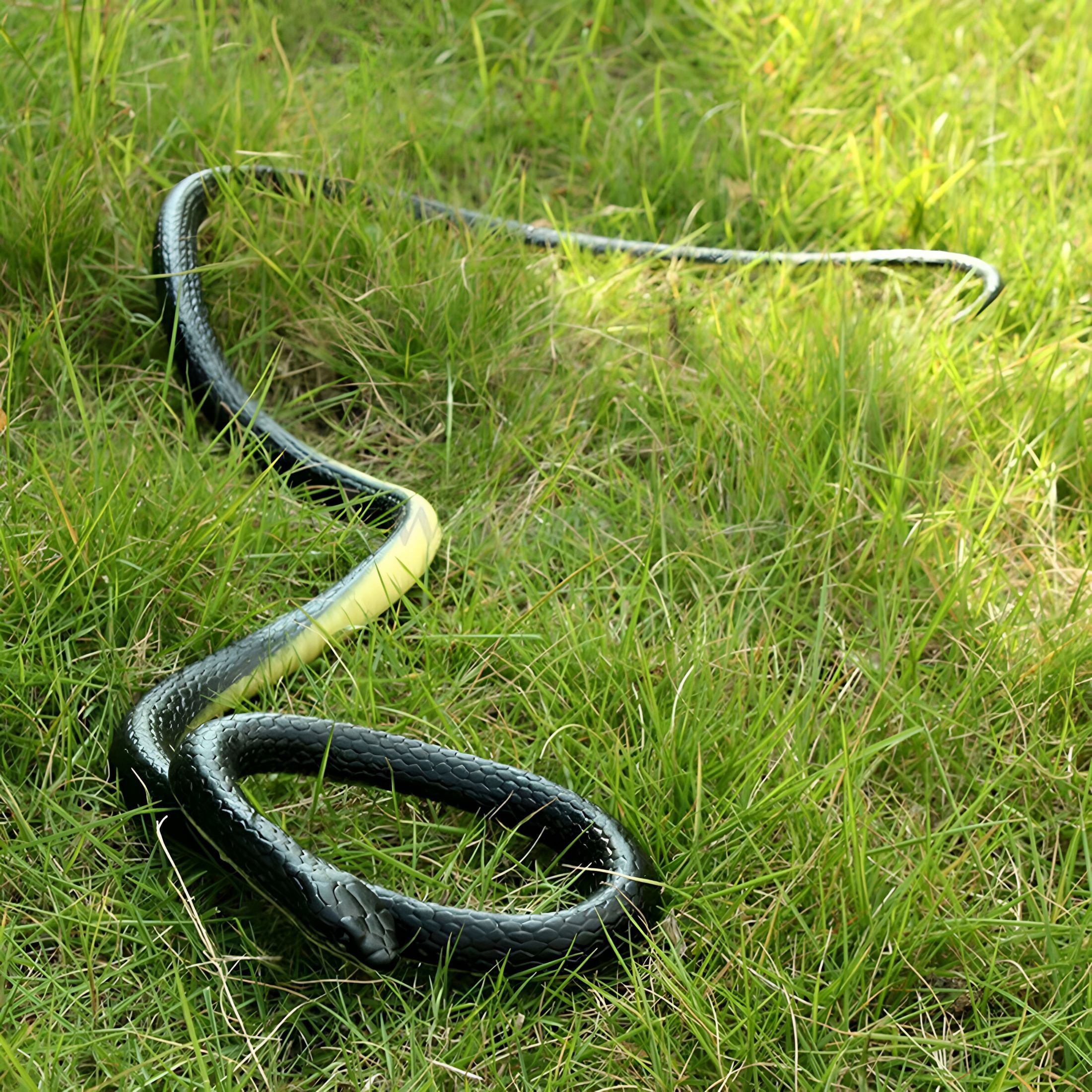 CYFW 51 Inches Rubber Lifelike Snakes Scary Gag Gift Incredible ...