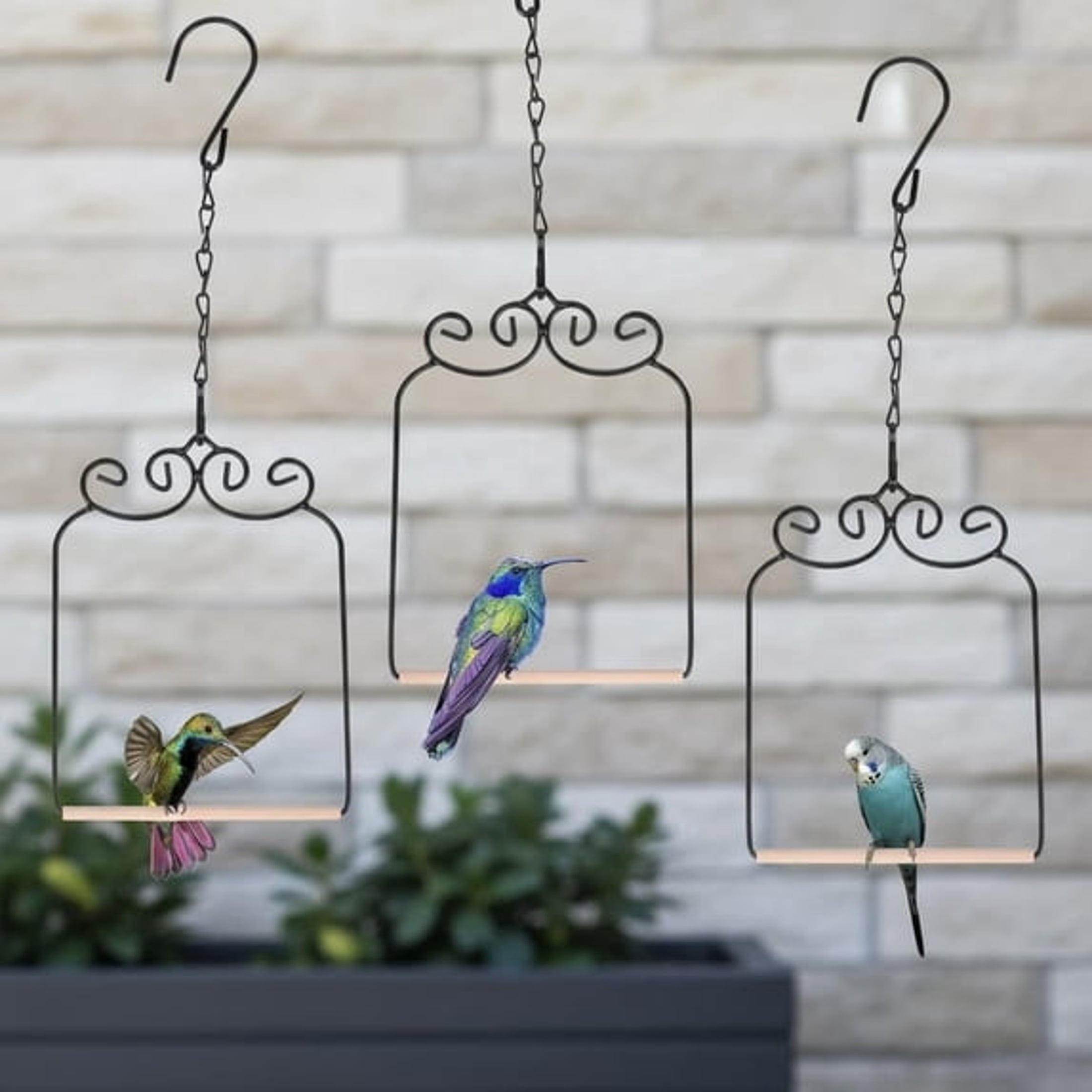 CYFW Metal Frame Hummingbird Swings and Perches with Wooden Dowel Black ...