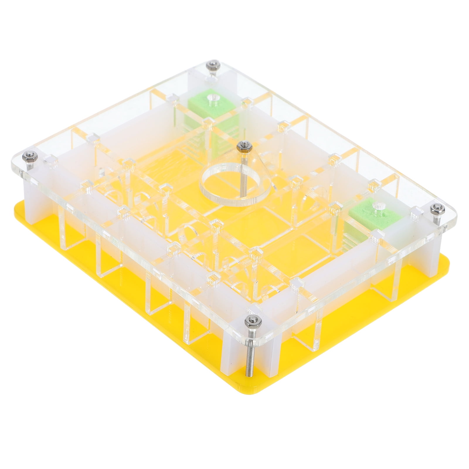 CYLINDSOME 1 Set Acrylic Ant Castle Ant Living Nest Science Observe Toy ...