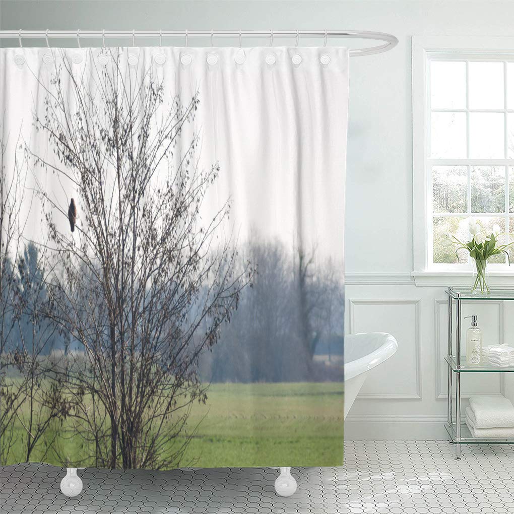 CYNLON Branches Hawk in Plain Farmland Landscape Birdwatching Bird ...