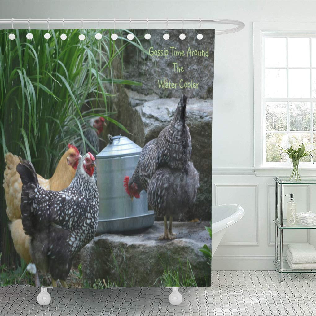 CYNLON Chickens Gossip Around The Water Hens Fowl Barnyard Farm ...