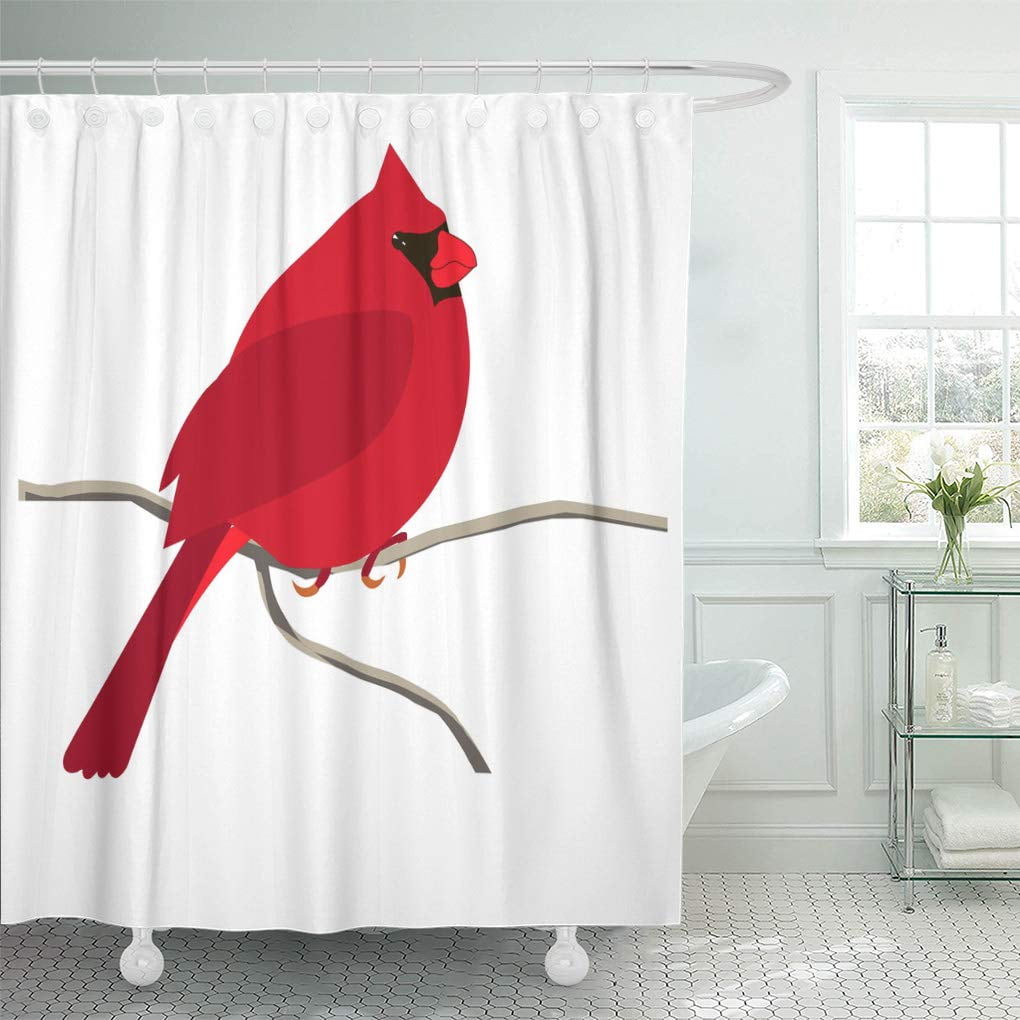 CYNLON Colorful Red Cardinal Bird for Coloring Page Bathroom Decor Bath ...