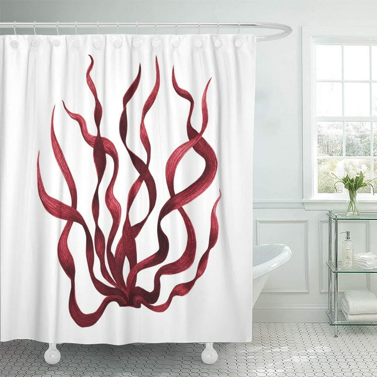 red algae drawing easy