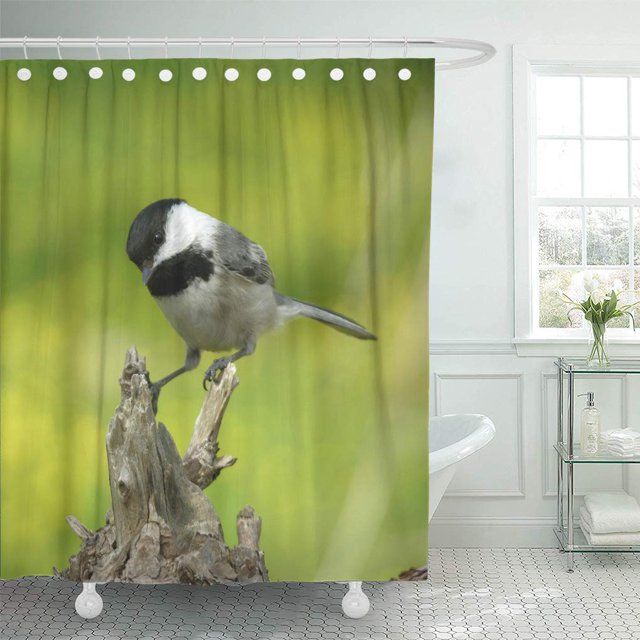 Cynlon Perched Black Capped Chickadee On Tree Stump Avian Bird Bathroom