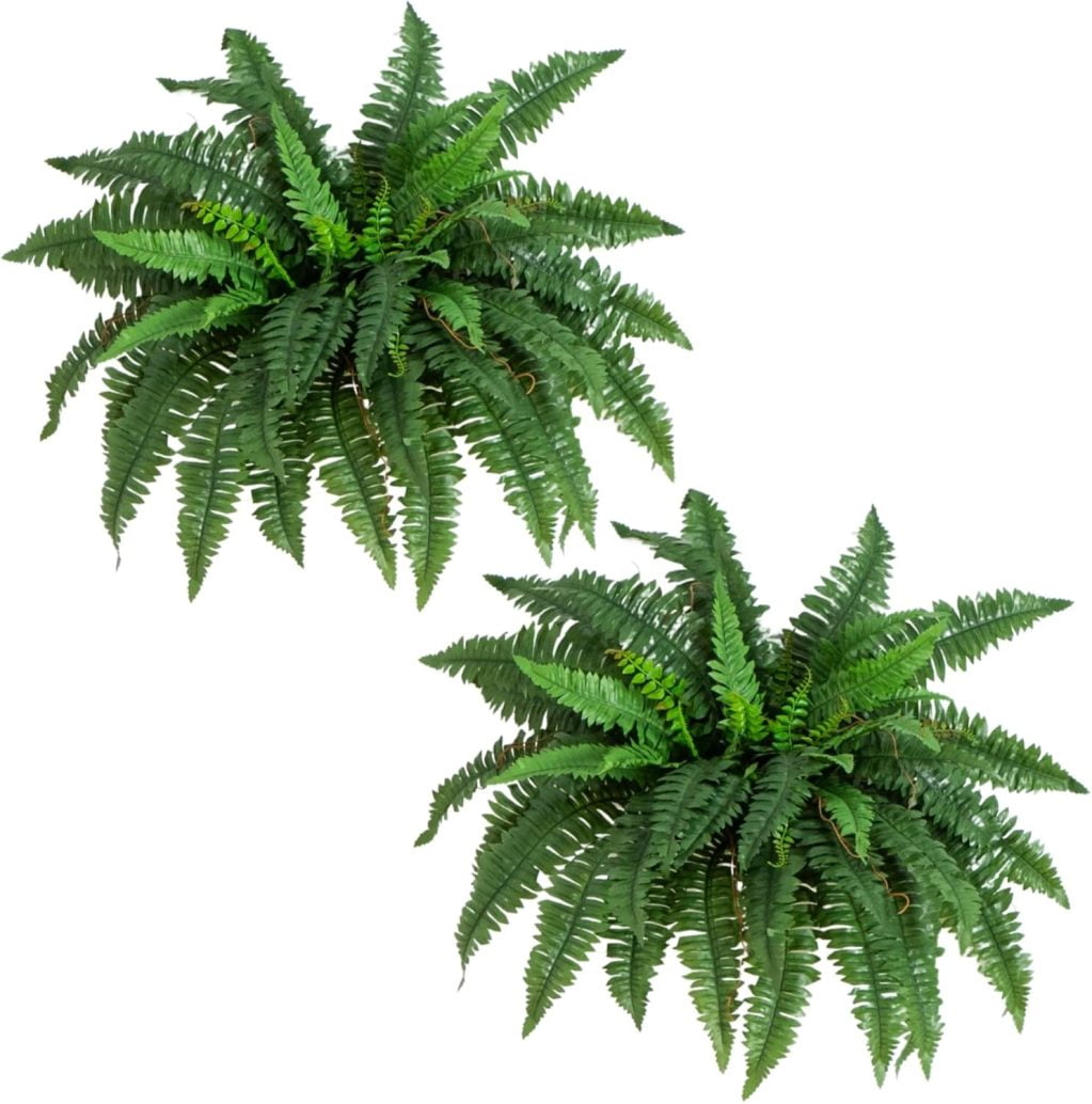 CYRP 40IN Artificial Boston Fern Large Hanging Plant, Set of 2 ...