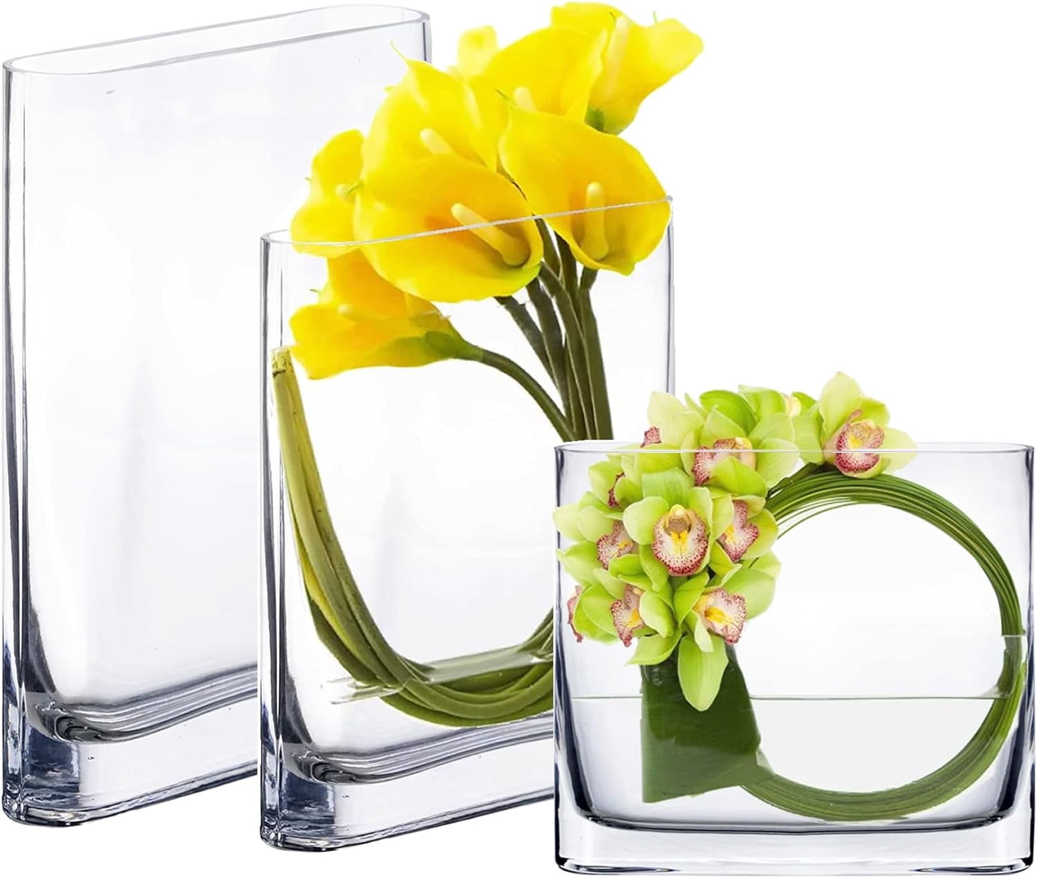 CYS EXCEL 3 pcs Glass Book Vases (Height-6", 8", 10") | Round Edge Oval ...