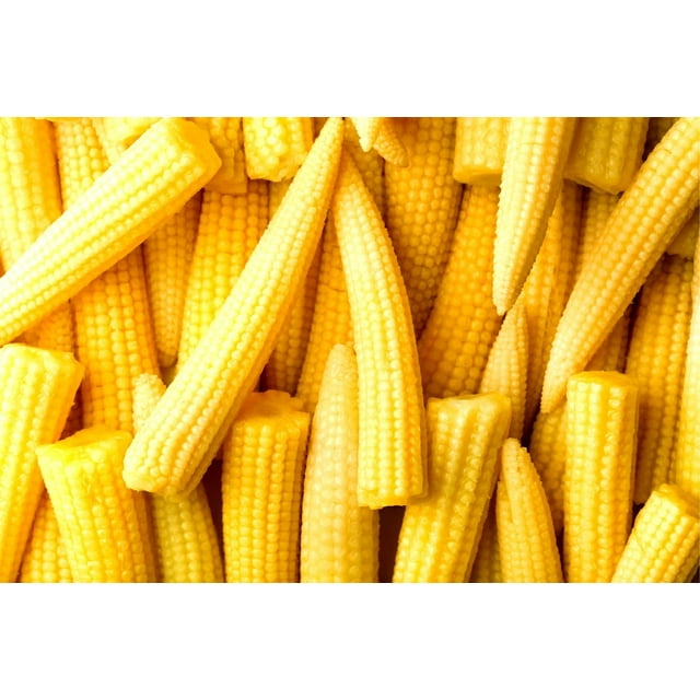 CZ Grain 20 Japanese Baby Corn Plant Seed, Easy to Grow - Walmart.com