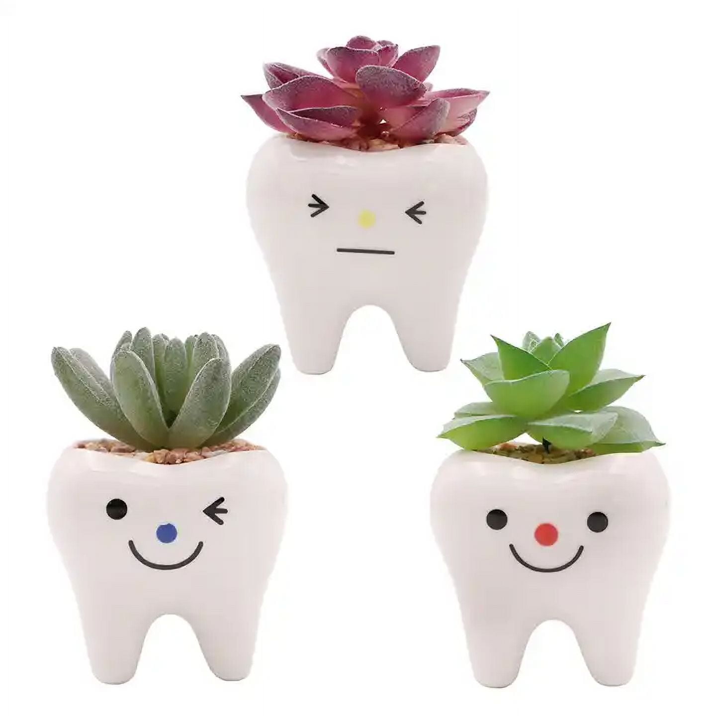 CZ Grain 3 Pots | 3 Inch | Small Succulent Ceramic Teeth Pots, Cute ...