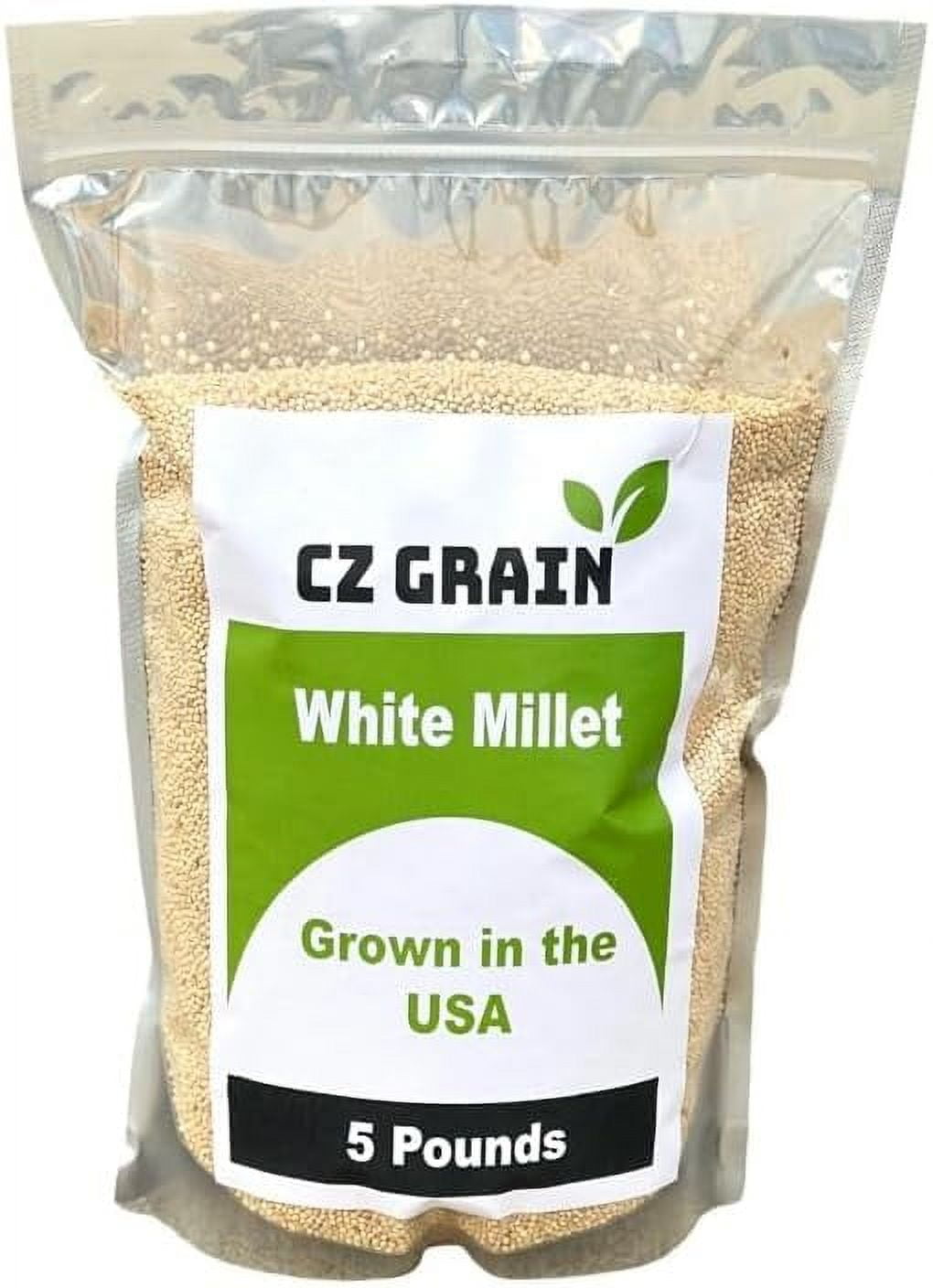 CZ Grain 5 Pounds Premium White Millet Proso Seeds - Bulk Seeds, Bird ...