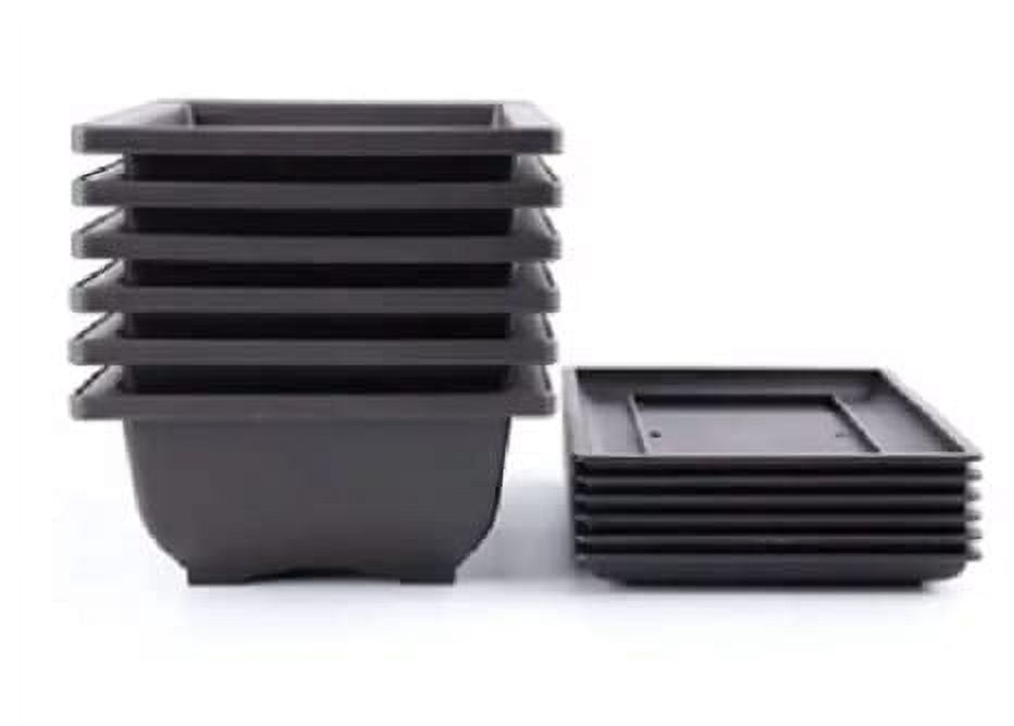 CZ Grain 6 Inch Bonsai Pots and Drip Trays - Starter Bonsai Pots, Small ...