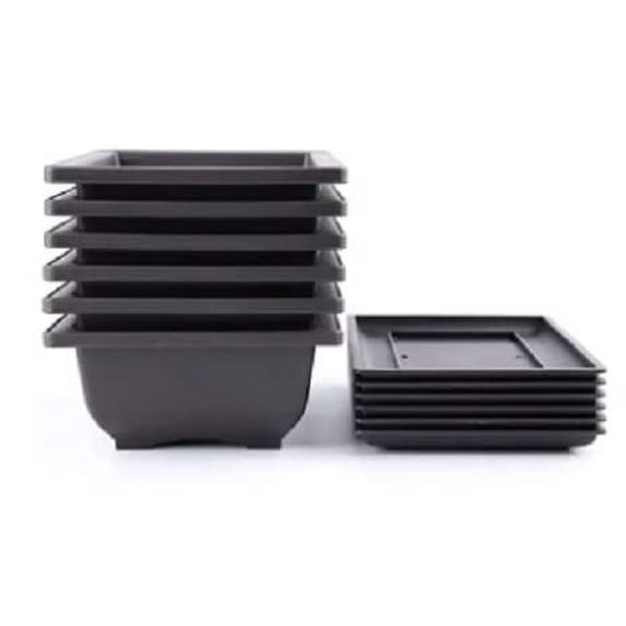 CZ Grain 6 Inch Bonsai Pots and Drip Trays - Starter Bonsai Pots, Small ...