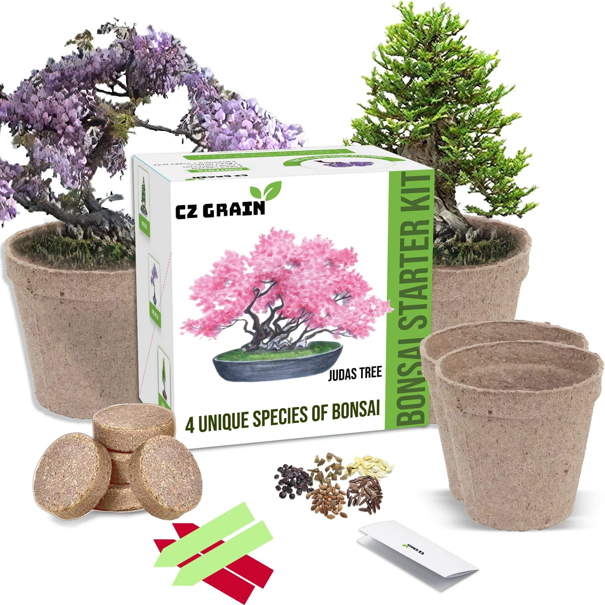 Easy Indoor Bonsai Tree Kit - Grow 4 Desired Species - Redwood Sequoia ...
