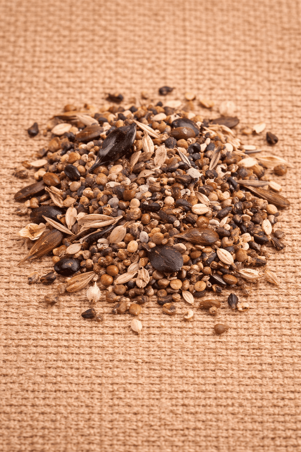 Hummingbird Wildflower Seed Mix - Easy to Grow, Open Pollinated Seeds ...