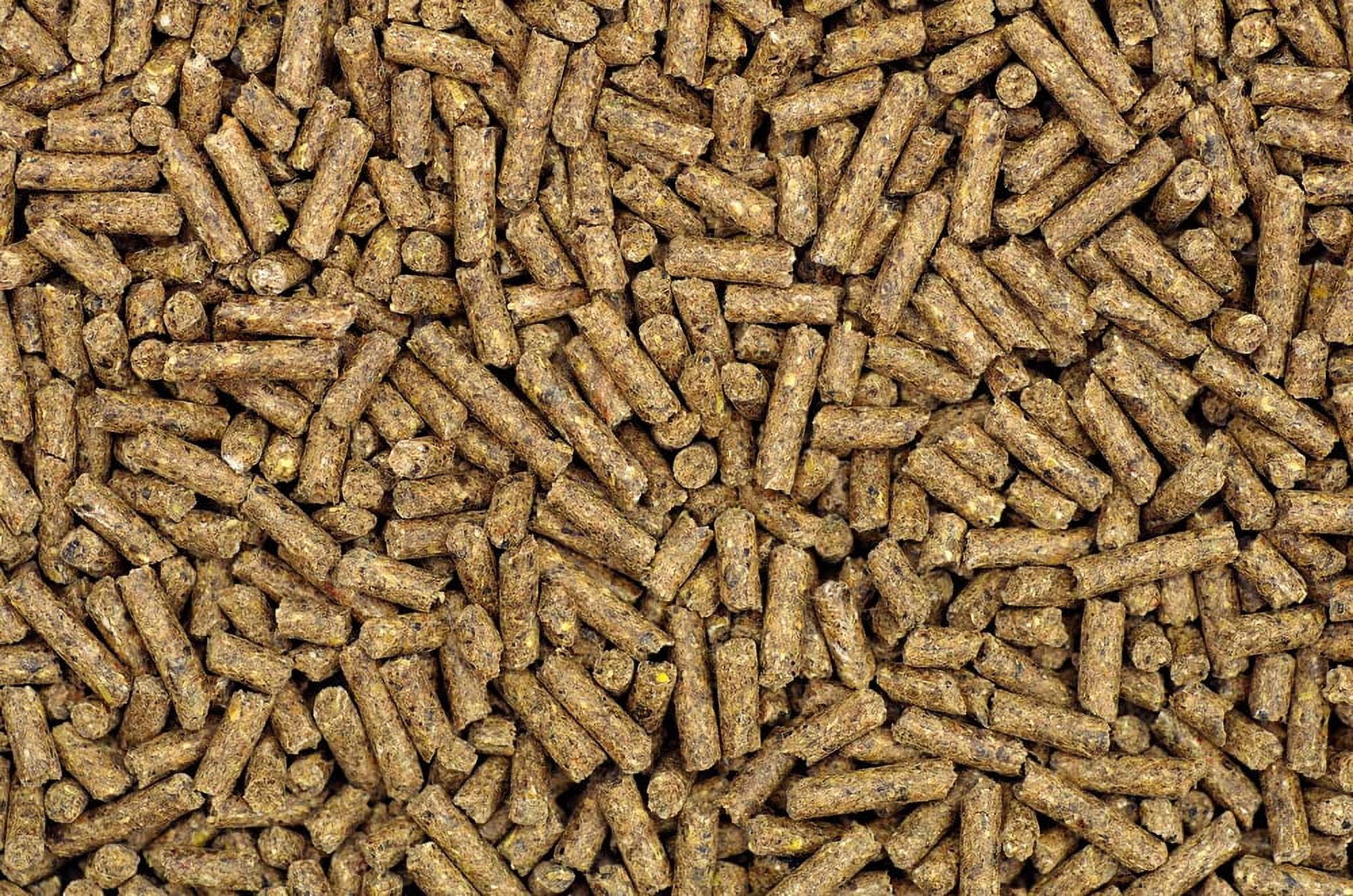 CZ Grain Layer Feed Pellets for Chickens - Designed for The Whole ...
