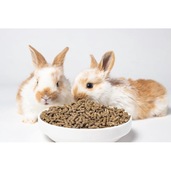 CZ Grain Premium Rabbit Pellets for Feeding - All Natural Adult Rabbit ...