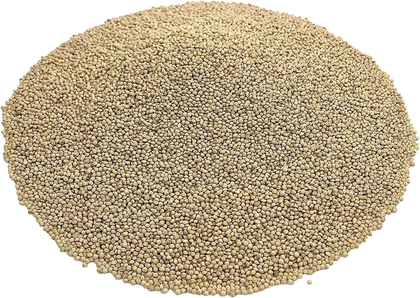 CZ Grain Premium White Millet Proso Seeds - Bulk Seeds, Bird Feed, Wild ...