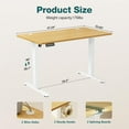 CZMDZH 24" x 48" x 48'' Ergonomic electric standing desk - Adjustable ...