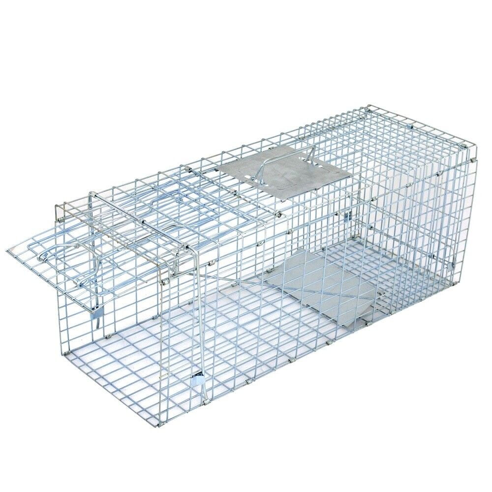 CZMDZH Animal Trap Cage,Foldable Live Catch Cage with 1-Iron Door ...