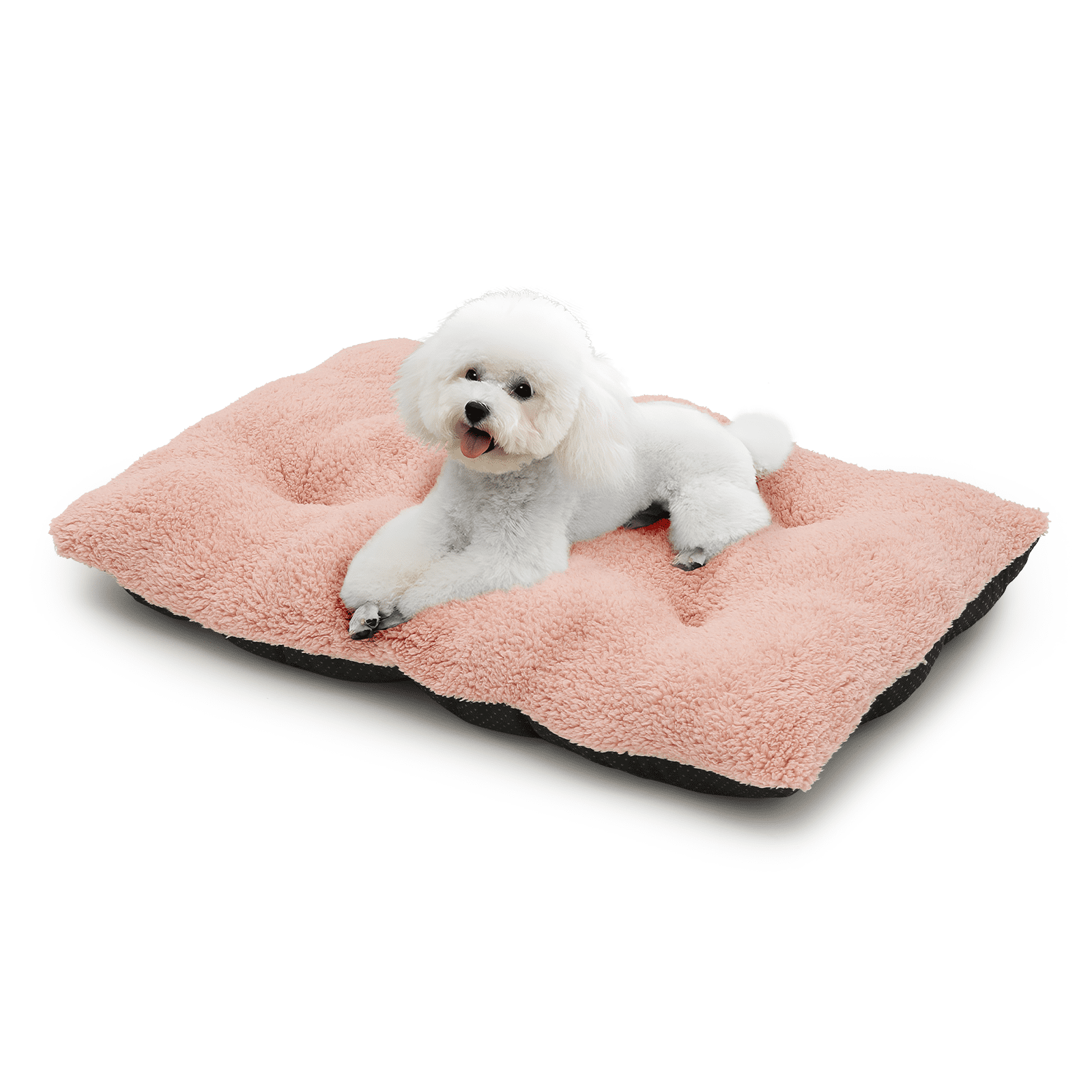 CZMDZH Dog Beds for Small Size Dogs Machine-Washable Short Plush Pet ...