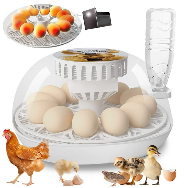 Caannasweis 12 Eggs Chicken Incubator, Automatic Turner with Humidity ...