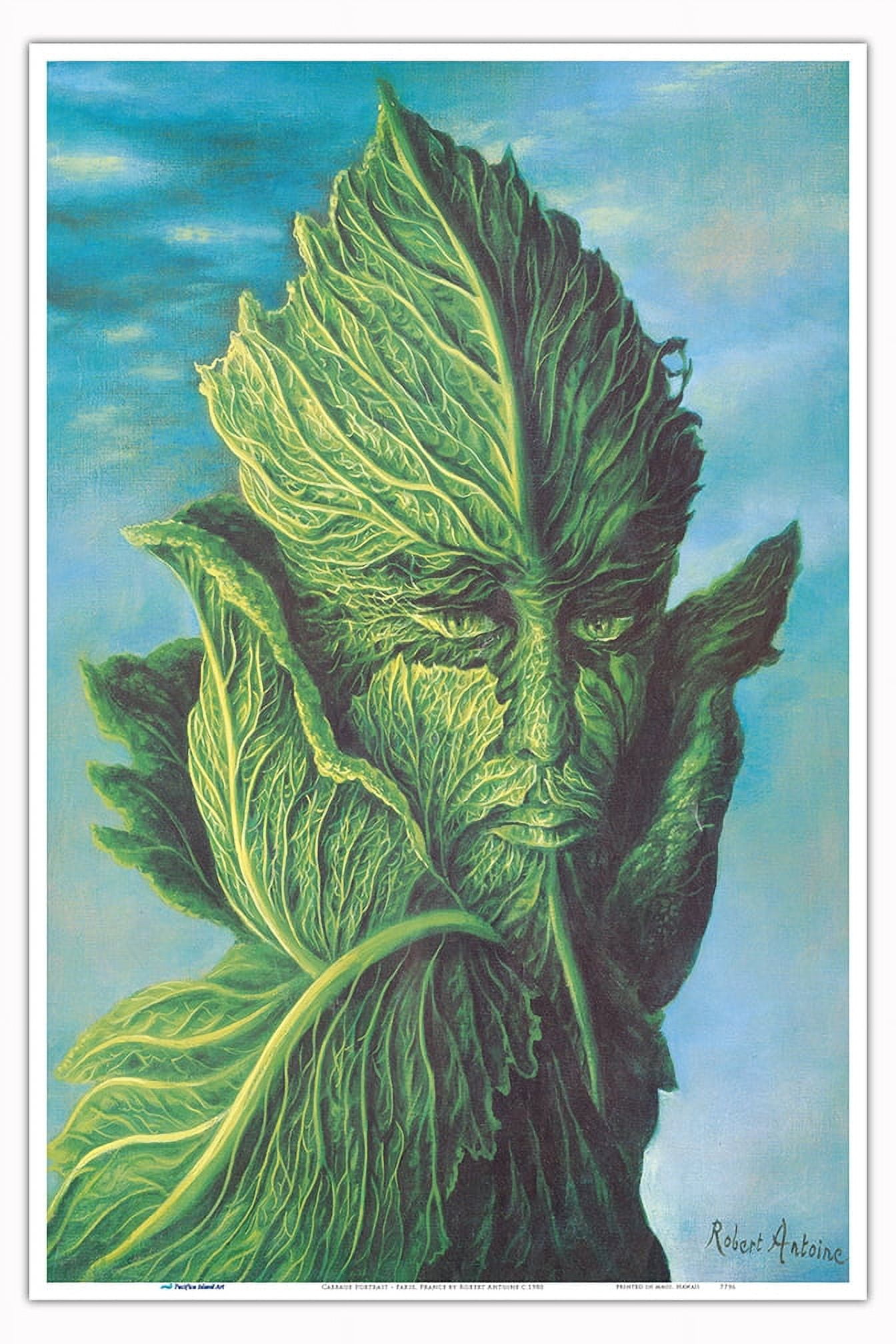 Cabbage Portrait - Paris France - From an Original Color Painting by ...