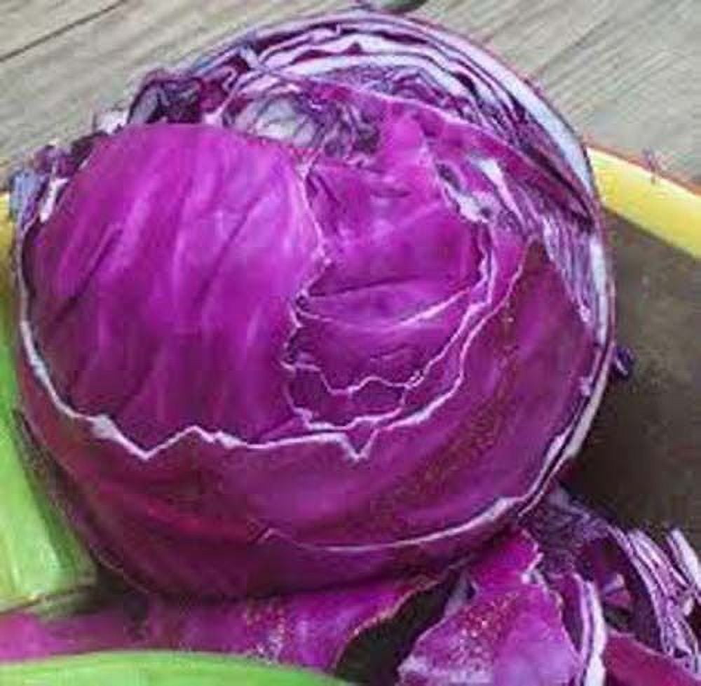 Seed Kingdom 700 Red Acre Cabbage Plant Seeds, Heirloom Vegetable, Easy ...