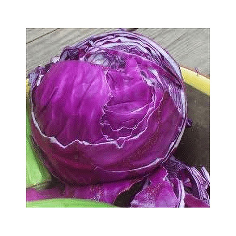 Cabbage Red Acre Great Heirloom Vegetable by Seed Kingdom Bulk 5 Lb Seeds - Walmart.com