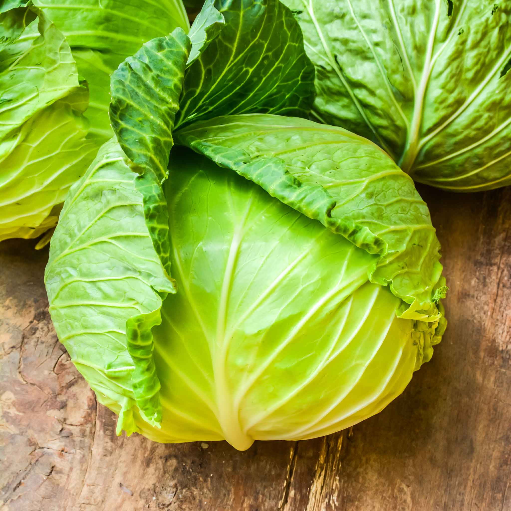 Eden Brothers Cabbage Seeds - Copenhagen Market - Walmart.com