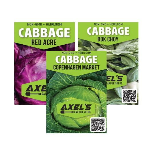 Cabbage Seeds for Planting - Plant MVR1 & Grow Heirloom Cabbage ...