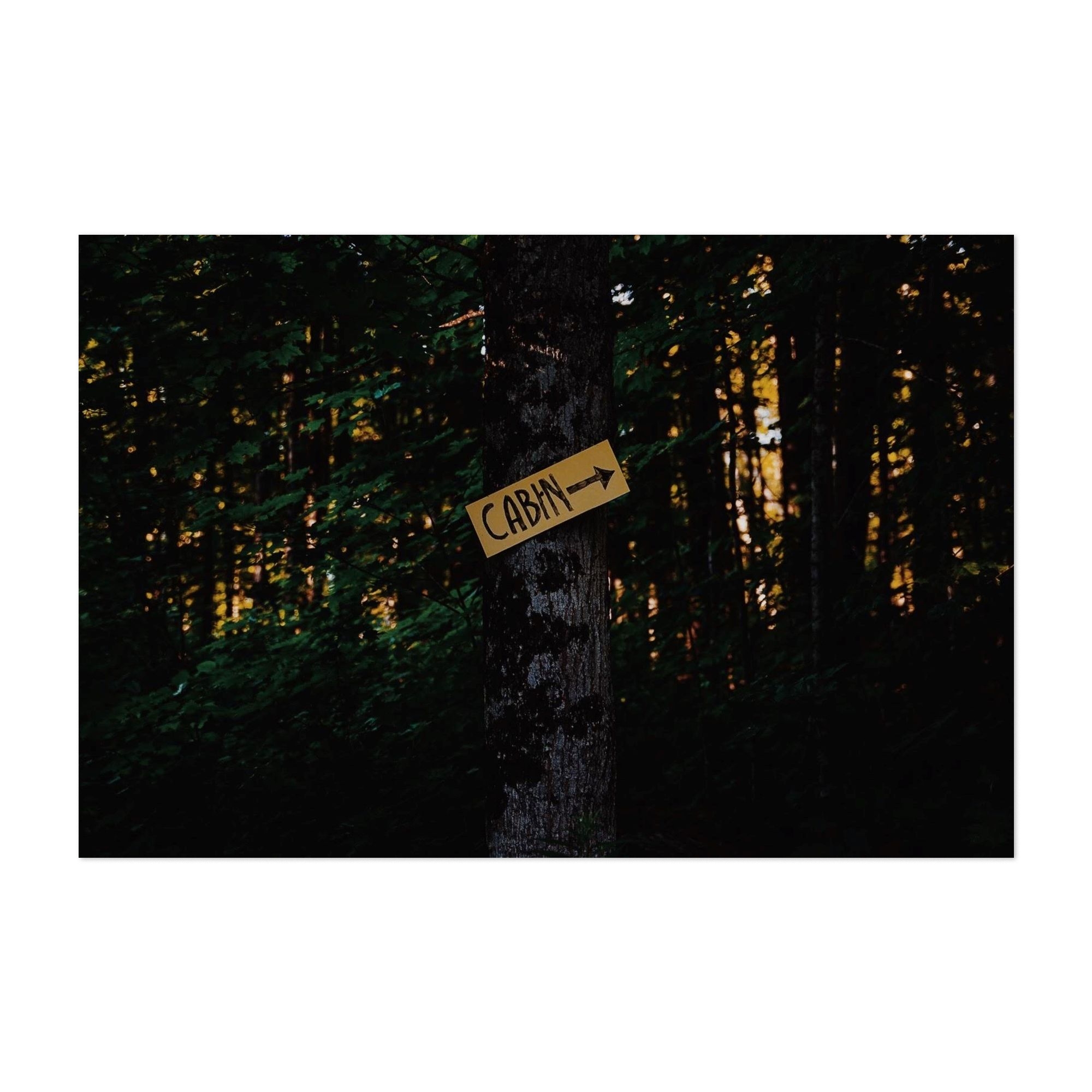 Cabin Sign - Marshfield Vermont Photography Unframed Wall Art Print 12 ...