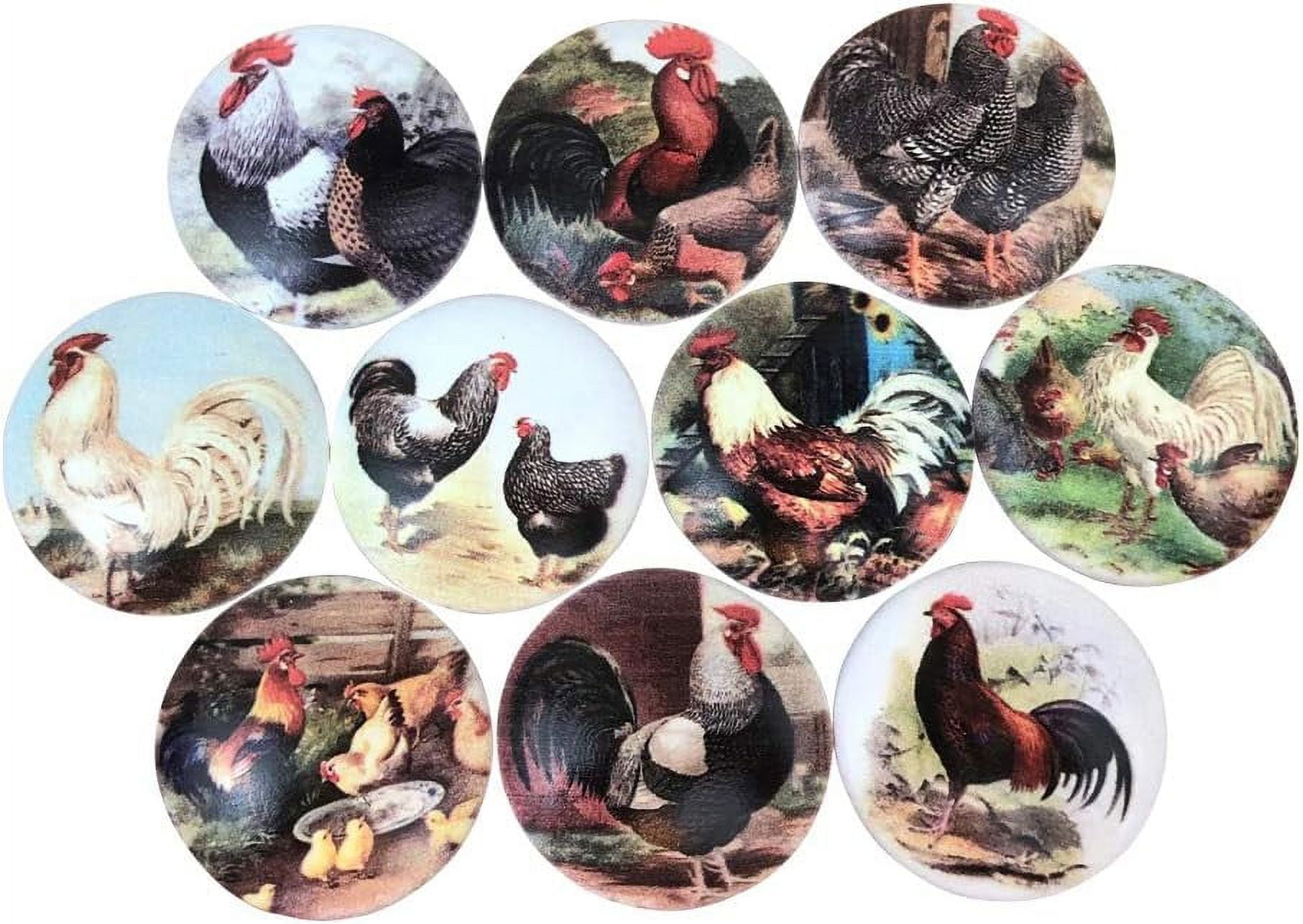 The Cabinet Knobs, Knobs for Kitchen Cabinets and Drawers, Matching ...