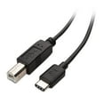 Cable Matters USB-C to USB-B 2.0 Printer Scanner Cable for Computer ...