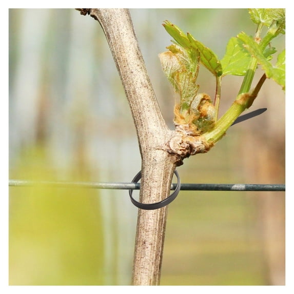 Cable Zip Ties 8-Inch - 1000 Pack - Heavy Duty Nylon Wire Ties - 45LBS ...