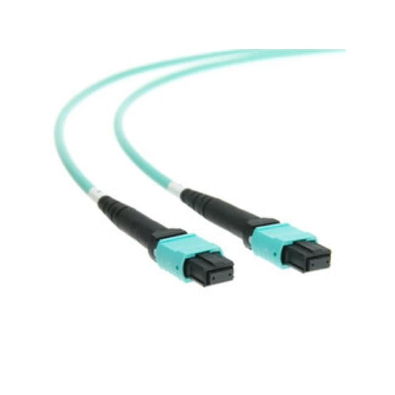 CableWholesale MPMP-41001 1 m Type B Female Plenum 12 Strand MTP & PC ...