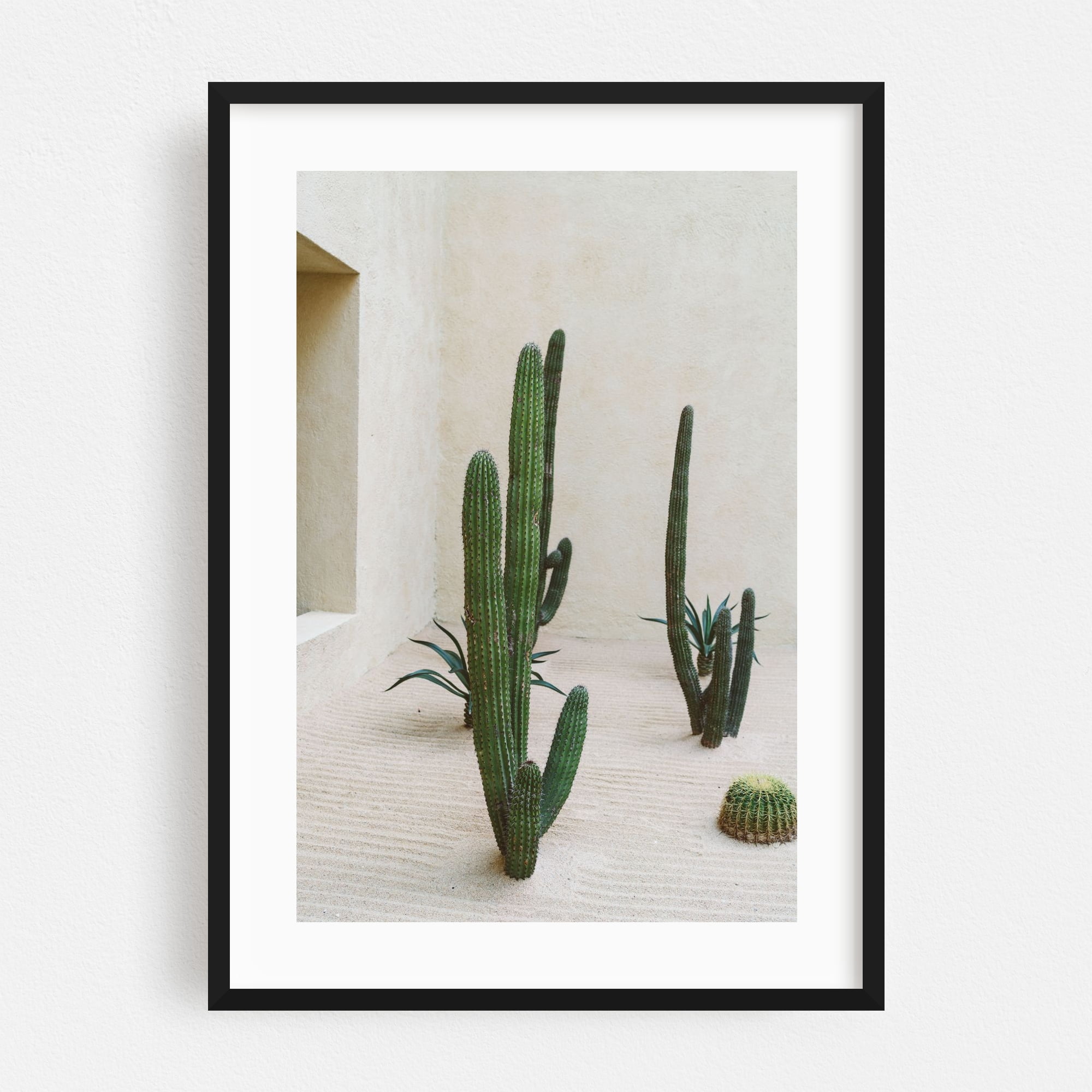 Cabo Cactus VI - Cabo San Lucas Baja California Sur Mexico Photography ...