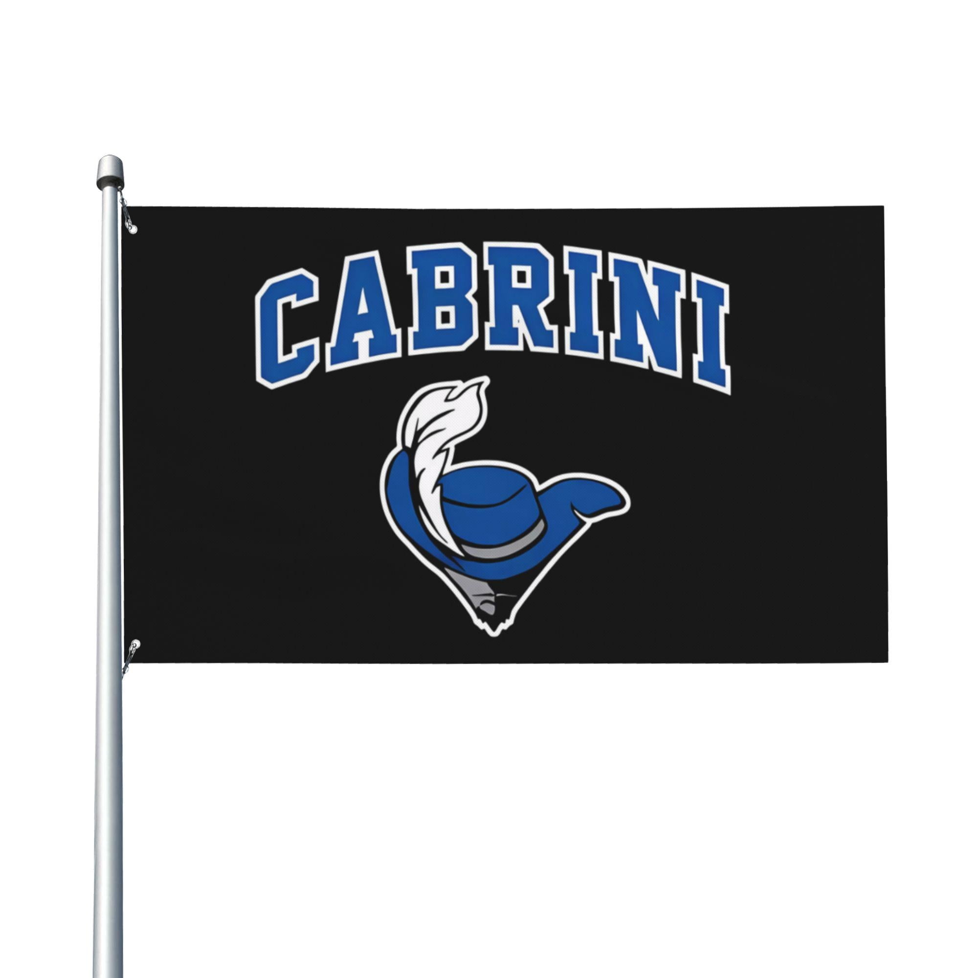Cabrini University Flags Garden Home Flag House Flags For Outdoor ...