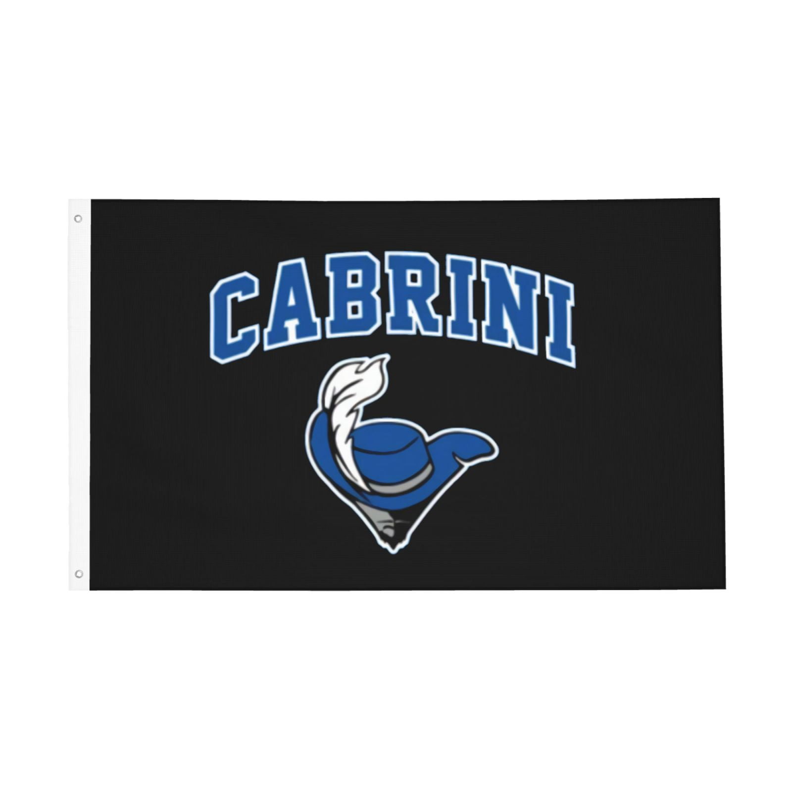 Cabrini University Logo 3x5ft Double Sided Outdoor Decorative Flags ...