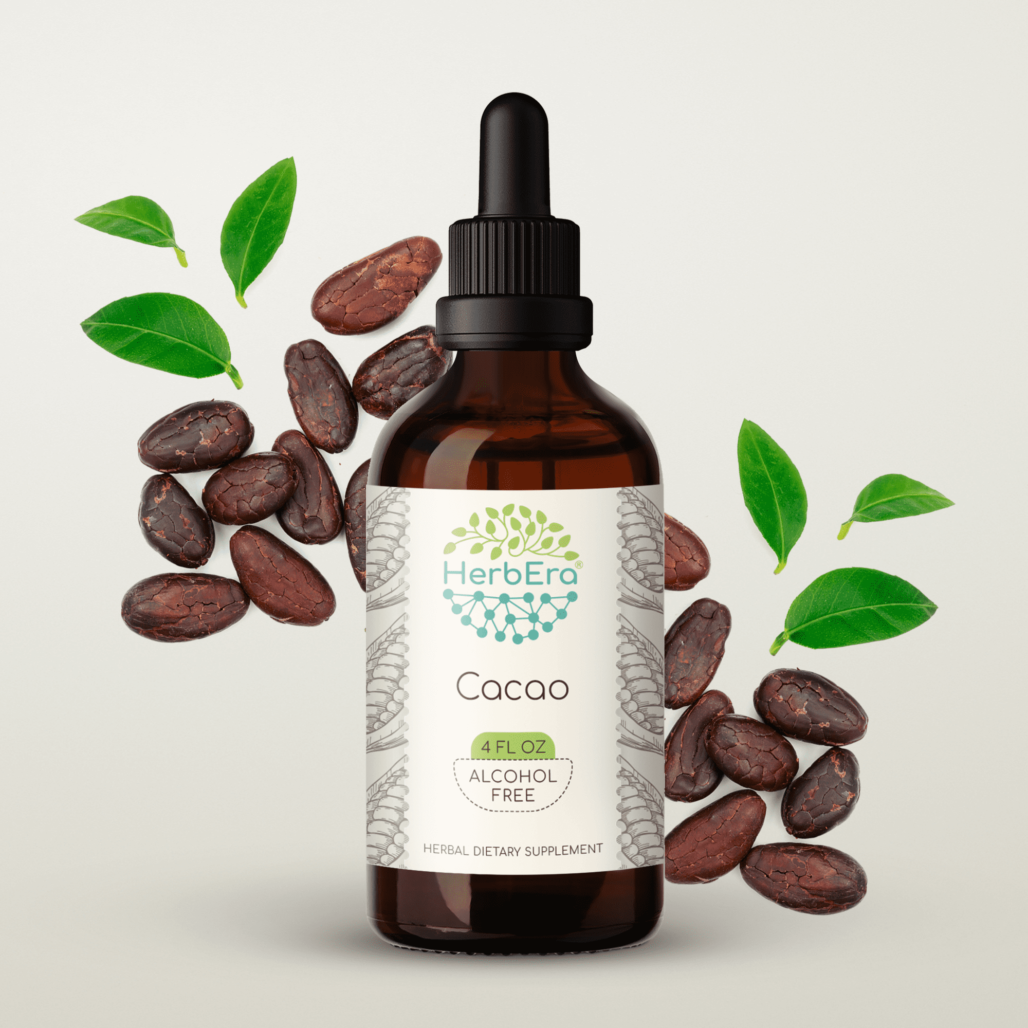 Cacao Alcohol-FREE Herbal Extract Tincture, Super-Concentrated Organic ...