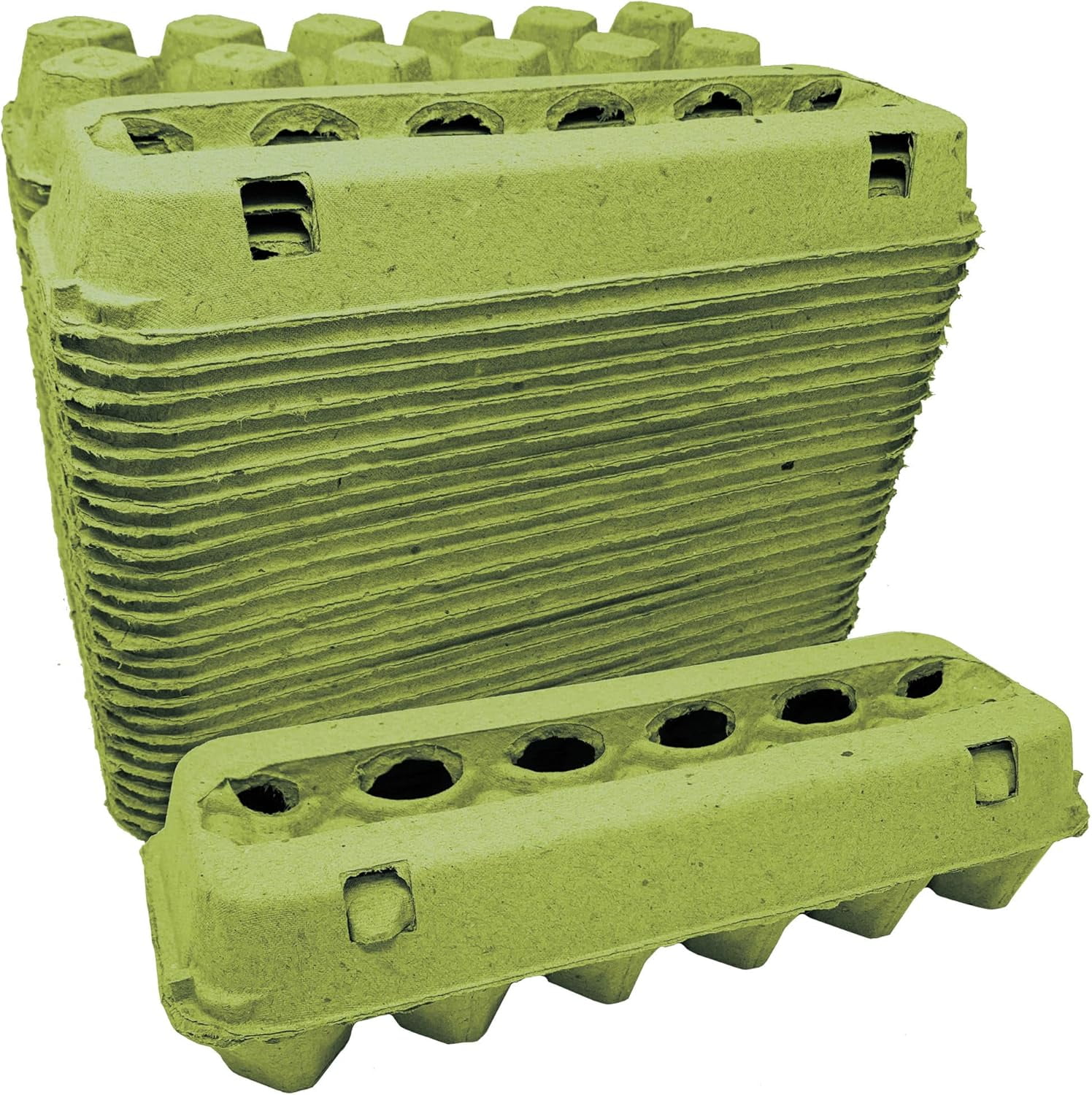 Cackle Hatchery Vented Paper Pulp Egg Cartons - Green (24 Pack ...