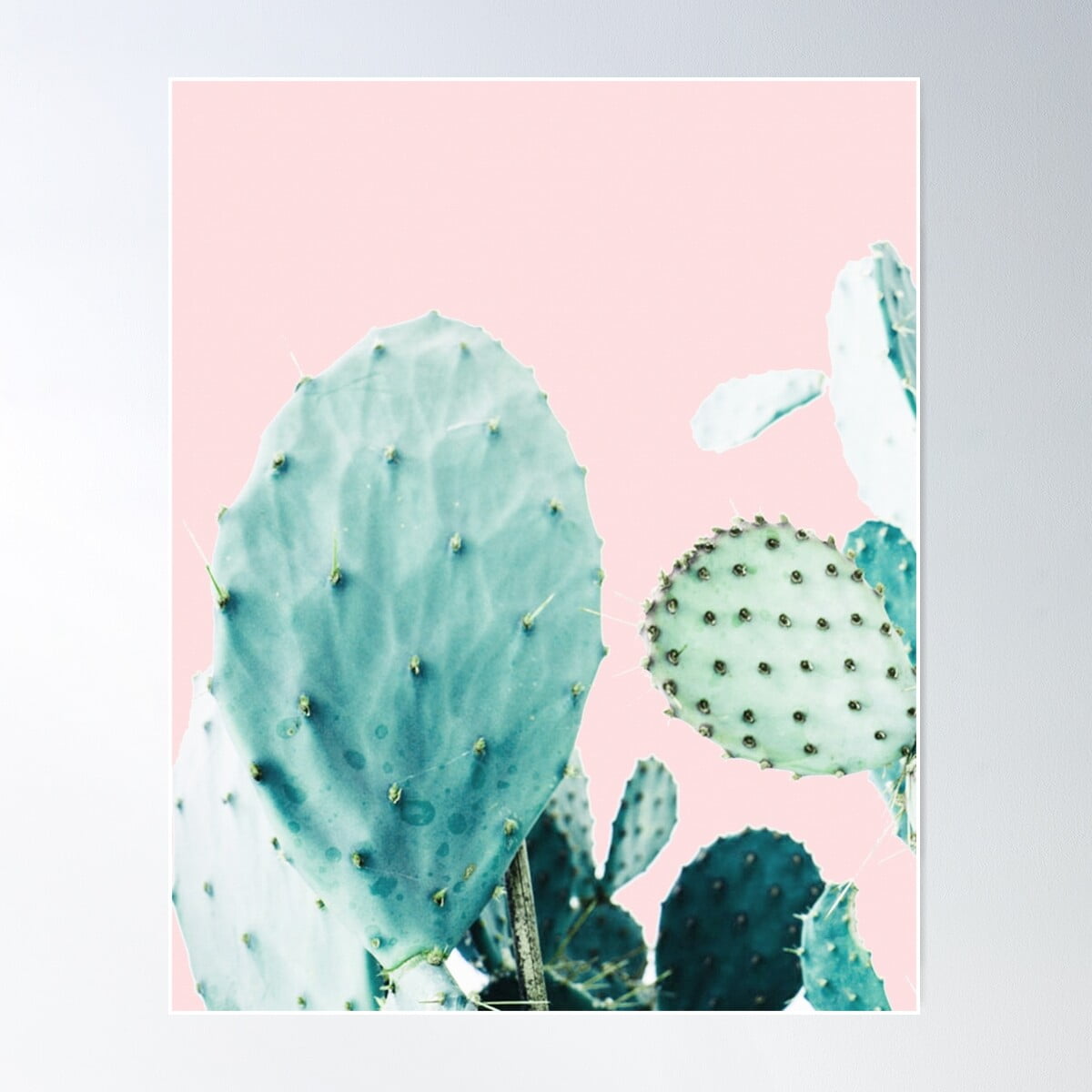 Cacti, Cactus, Cacti print, Cactus art, Desert, Nature, plant ...