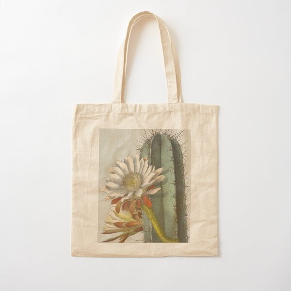 Cacti, Cactus, Succulents, Botanical Illustration Canvas Tote Bag ...